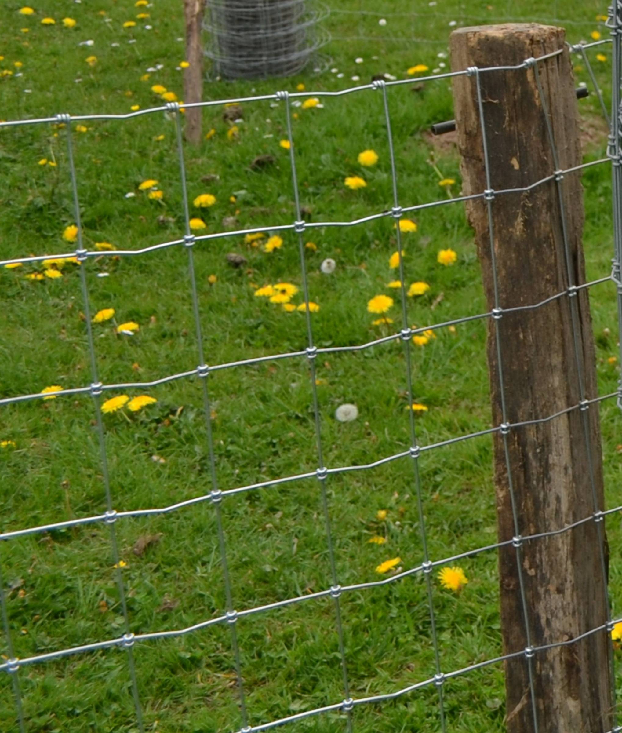 Vente en gros de grillage de protection anti sanglier haute résistance ...
