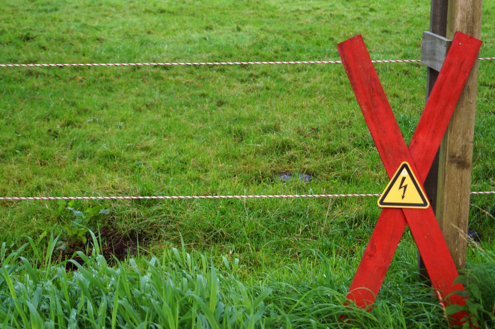 Quel type de grillage de plus de 2m choisir pour clôturer un parc de ...